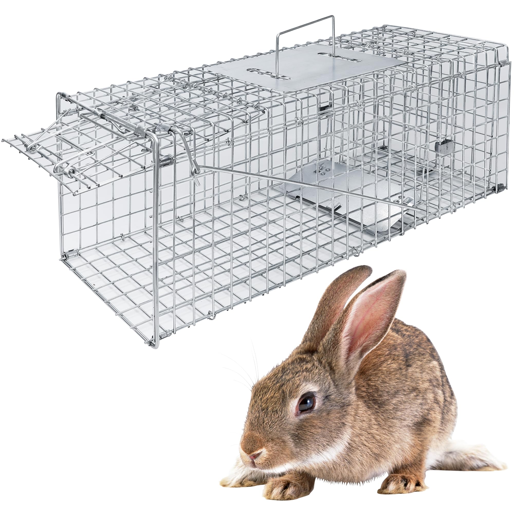 Live Animal Trap - 24'' Humane Way Folding Raccoon Traps, Humane Live ...