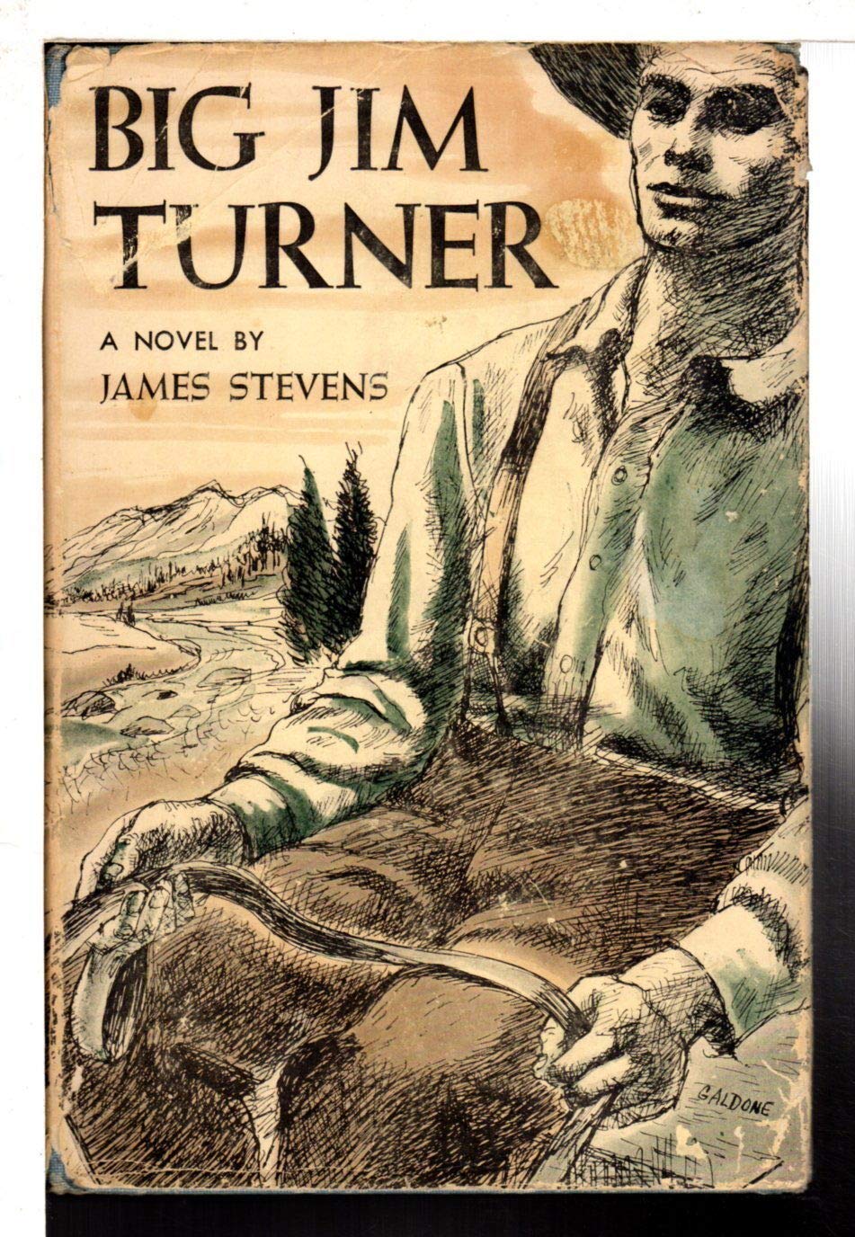 Big Jim Turner: James Stevens: Amazon.com: Books