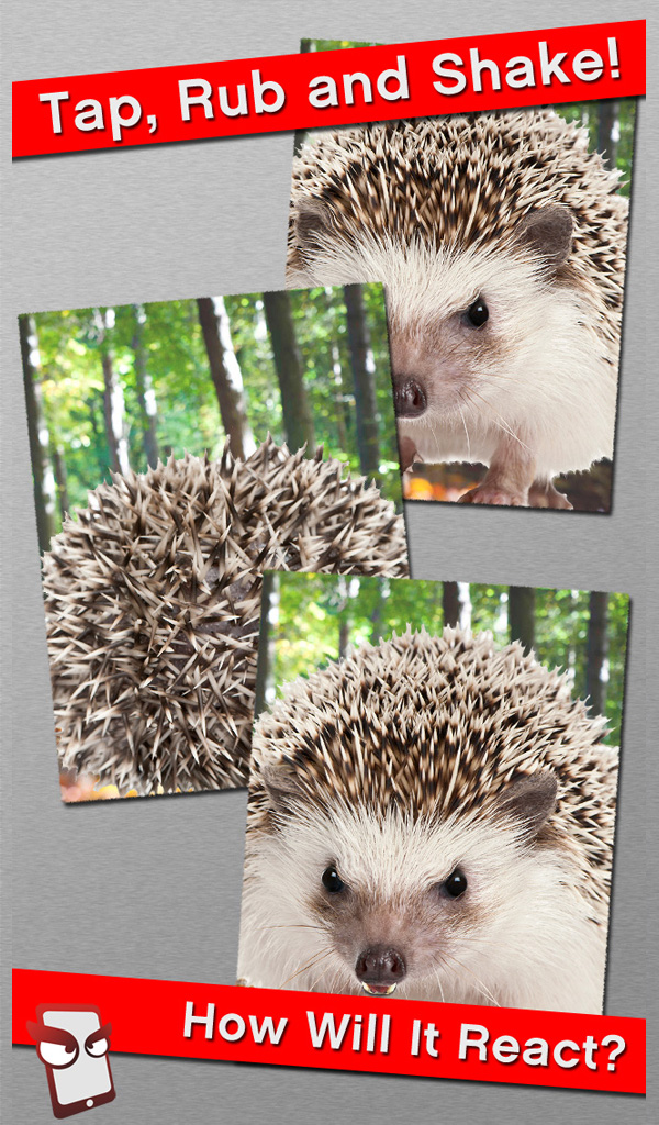 AngryHedgehog Free - The Angry Hedgehog Simulator - App on Amazon Appstore