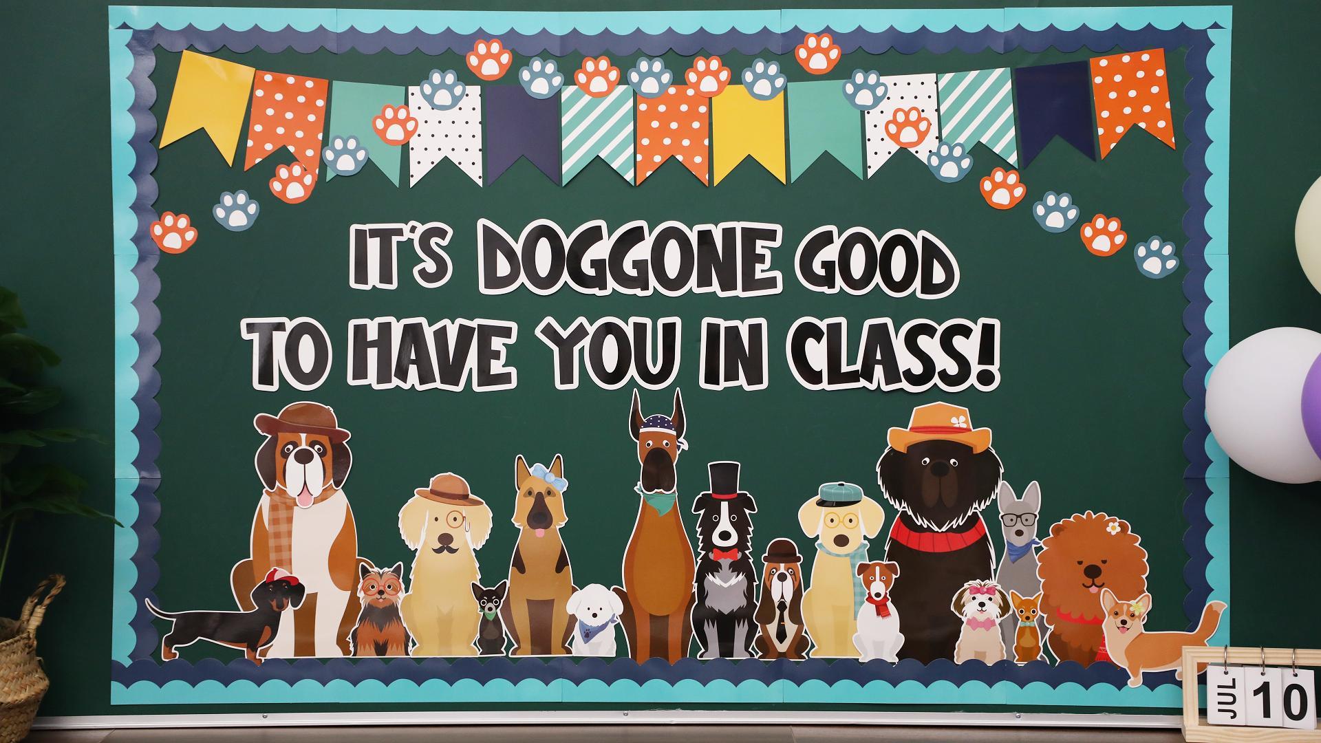 Bulletin Board Set Justforjoyful Pet Notice Board Classroom Decoration ...