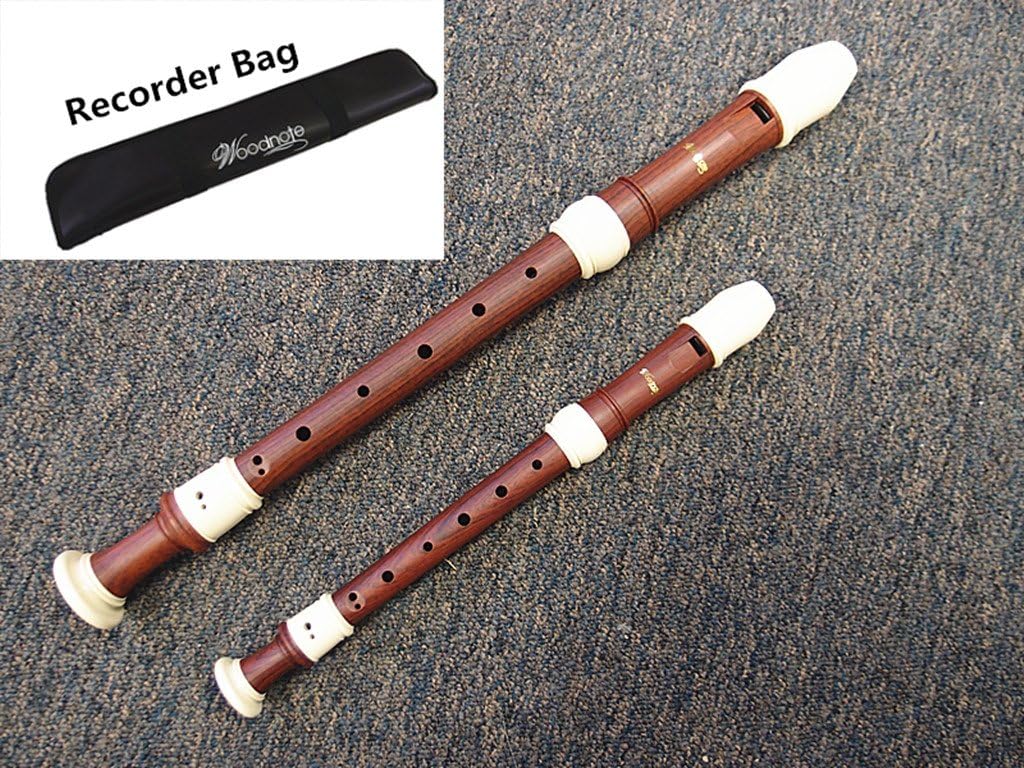 Amazon.com: Set of 2 /Woodnote Twin Color Alto & Soprano Recorders ...