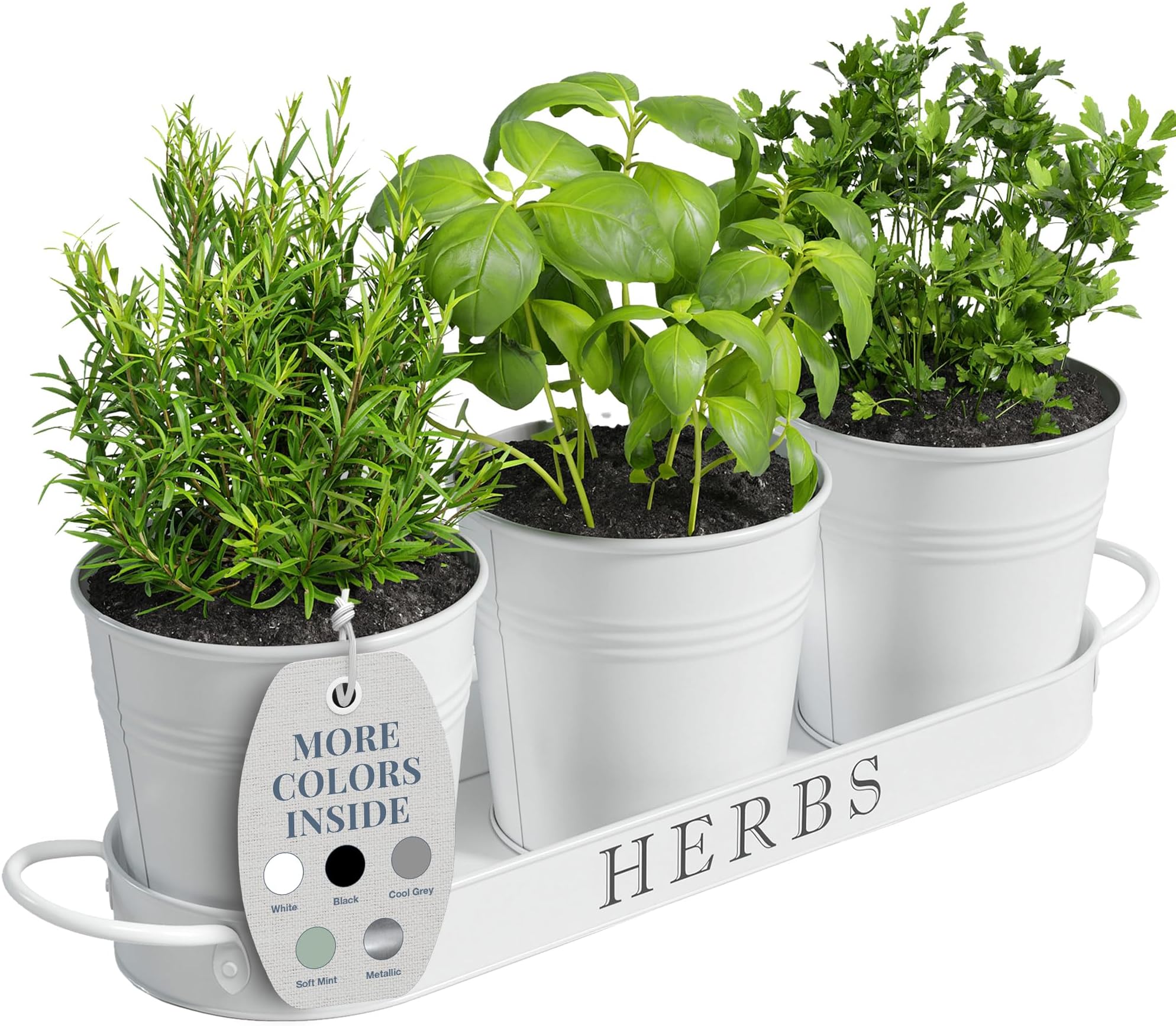 CKB LTD Set of 3 Metal Herb Plant Pots with Drip Tray Traditional ...