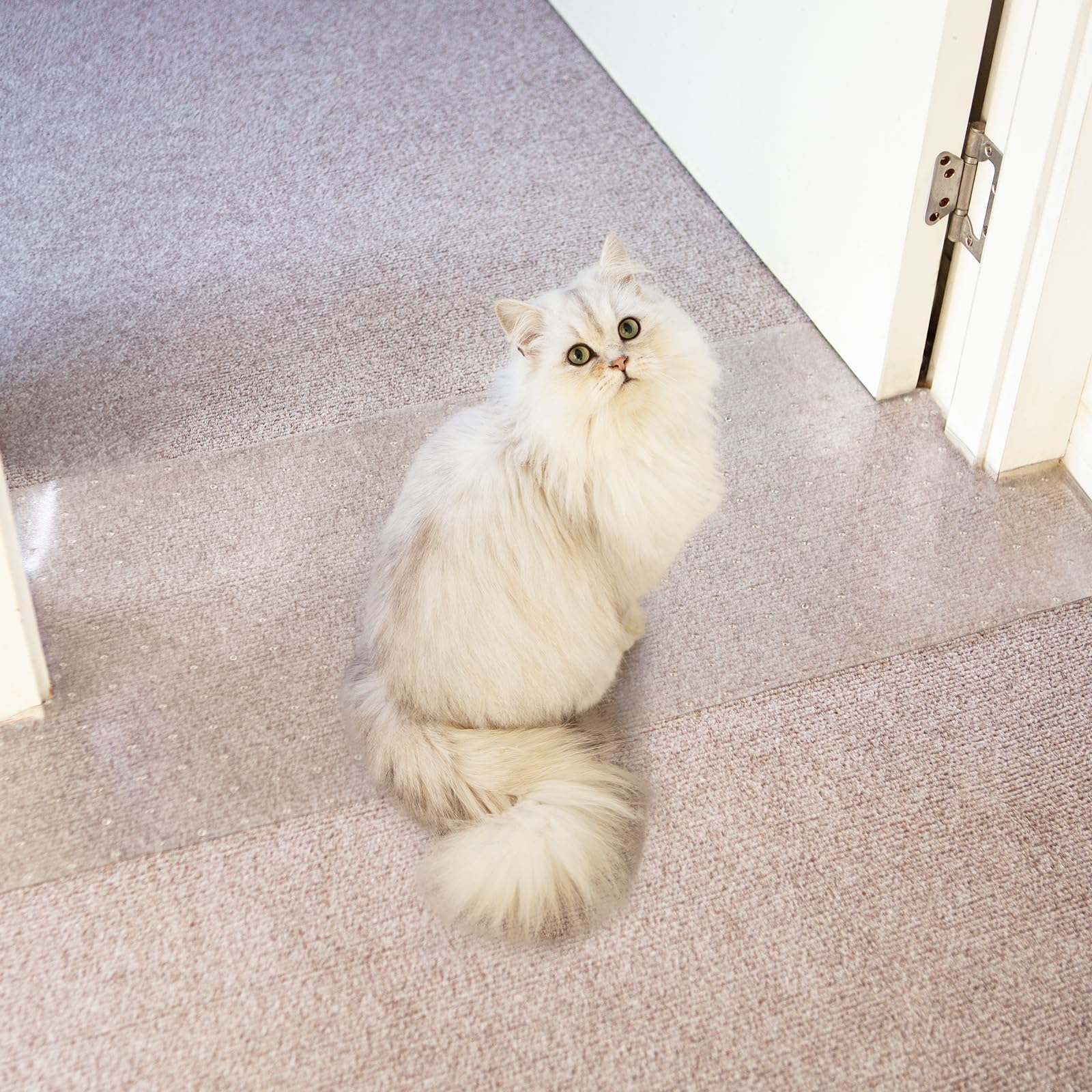 Amazon.com : 2 Packs Carpet Protector for Cats,3.6FT Grey Non Slip Cats ...