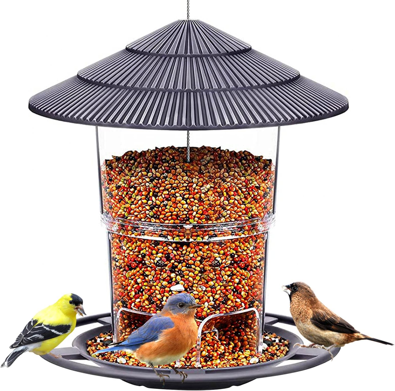 Gardman Black Steel Wild Bird Seed Feeder - 21cm x 10cm x 10cm : Amazon ...