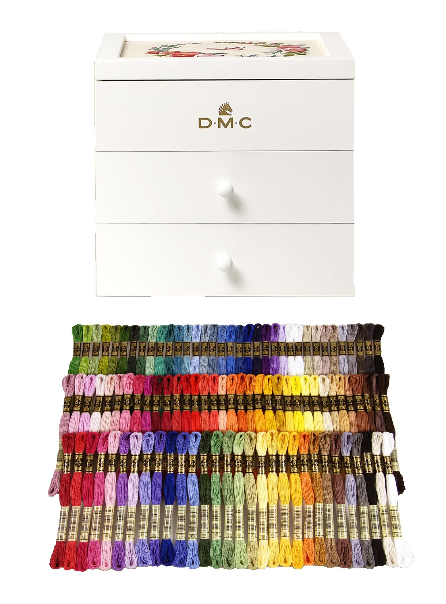 Amazon.com: DMC Modular Storage Box Includes 100 Skeins of DMC Six ...