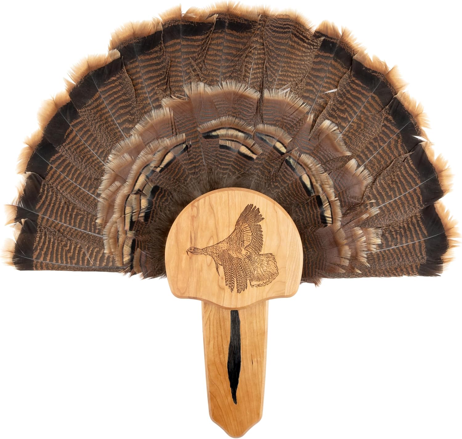 Amazon.com: Walnut Hollow Country Cherry Turkey Fan Mount & Display Kit ...