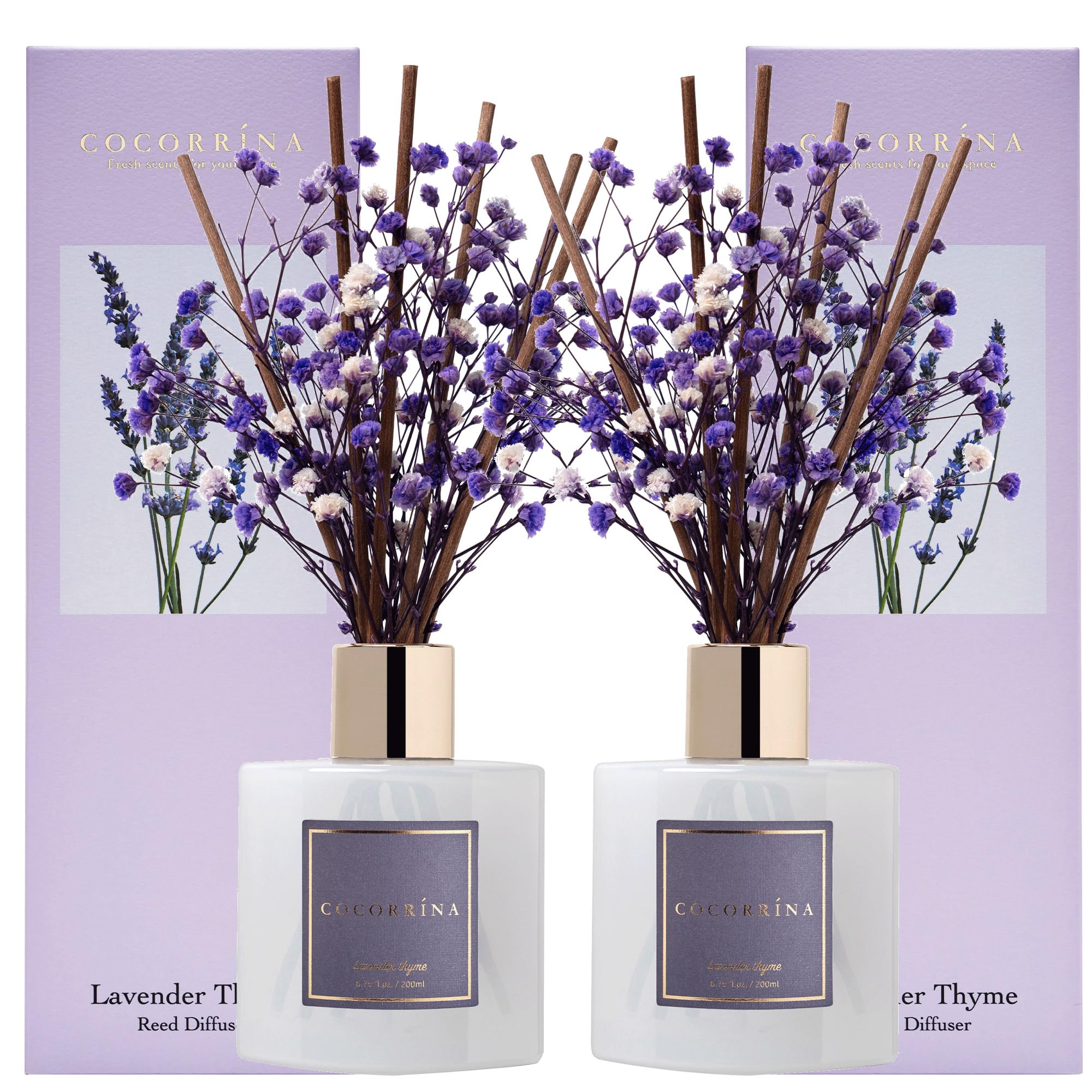 Amazon.com: Cocorrína Premium Reed Diffuser Set with Preserved Baby's ...