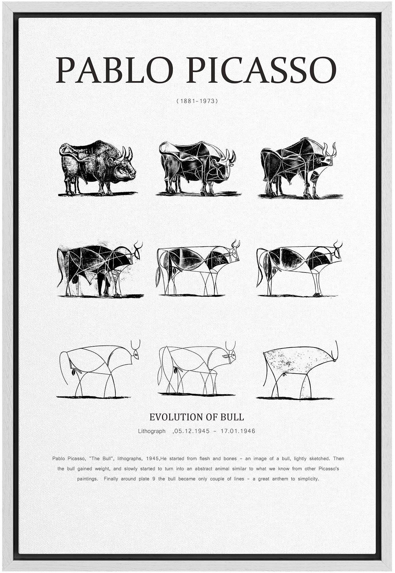 Picasso Bull Drawings