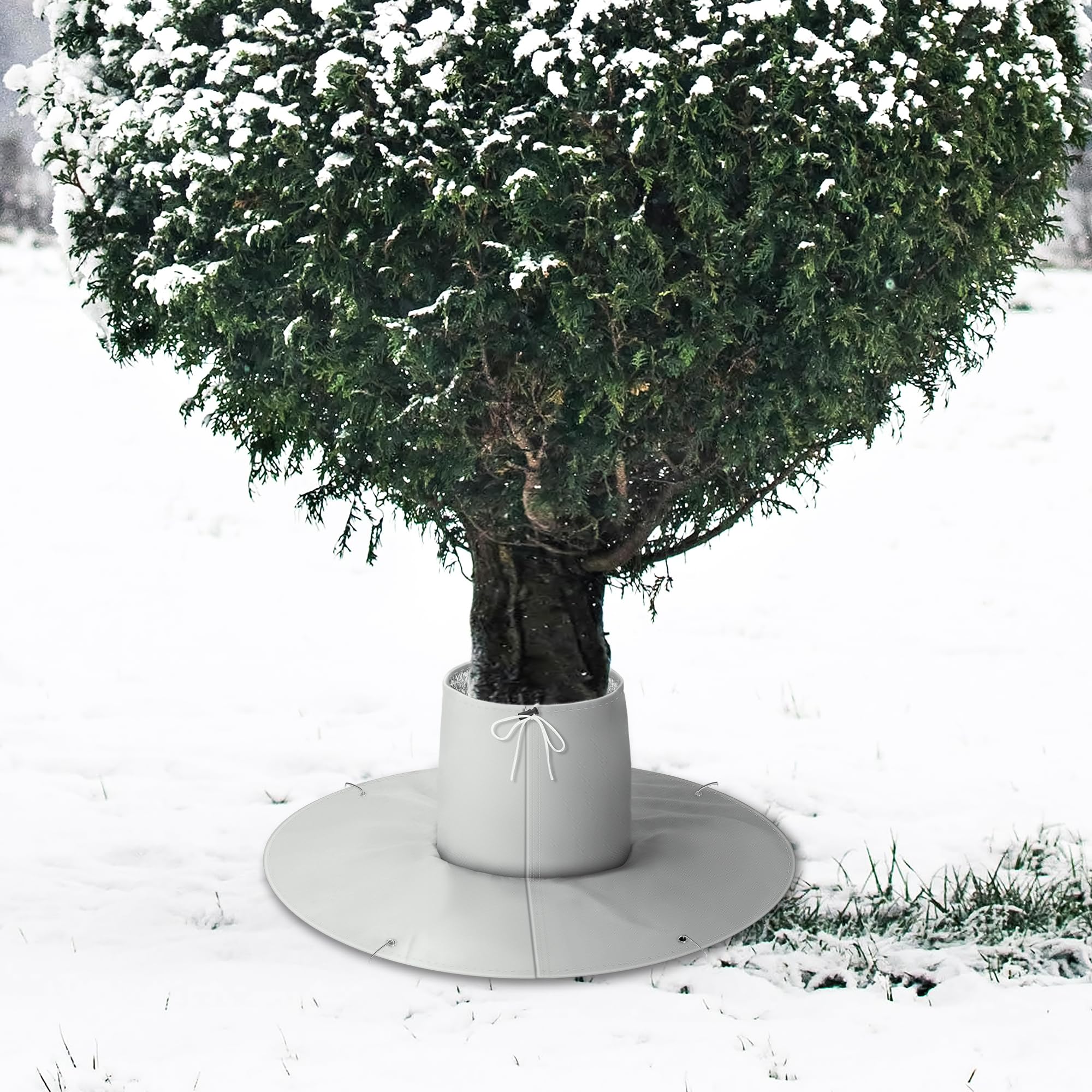 Frost Protecting Small Trees