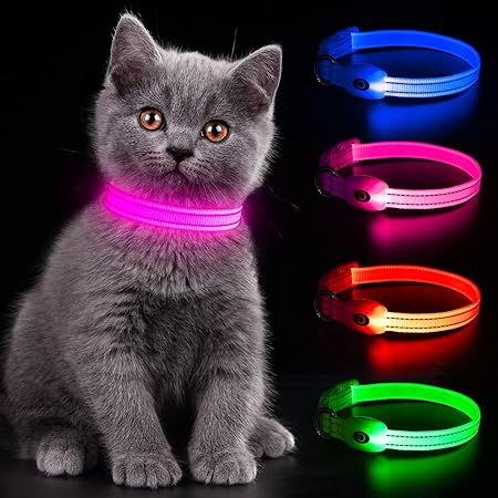 Amazon.com : Light Up Small Dog Collars - Waterproof LED Dog Collar ...