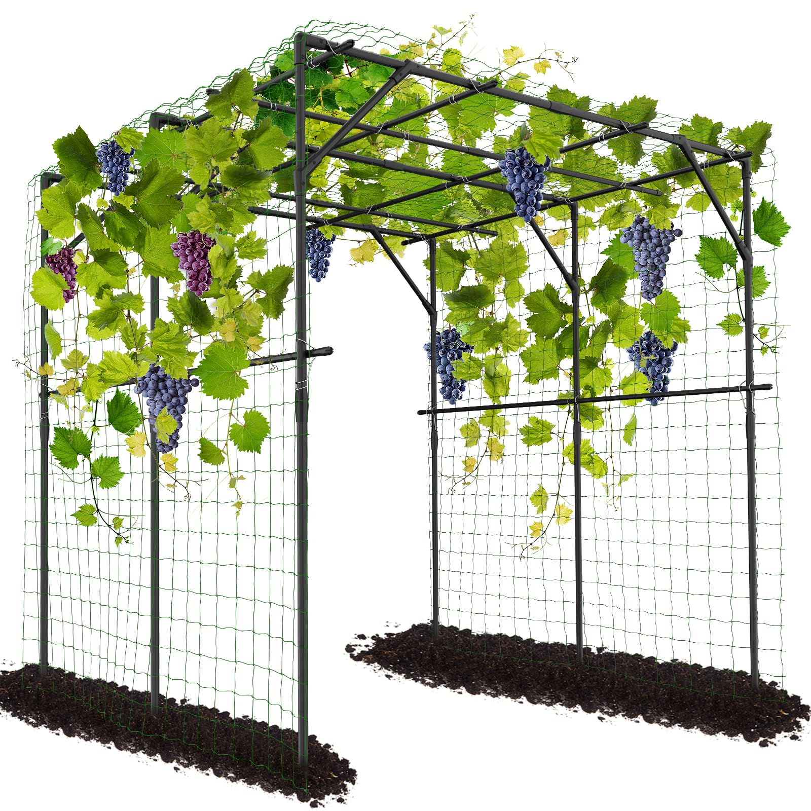 Amazon.com : Large Outdoor Garden Arch Trellis for Climbing Plants, 79 ...