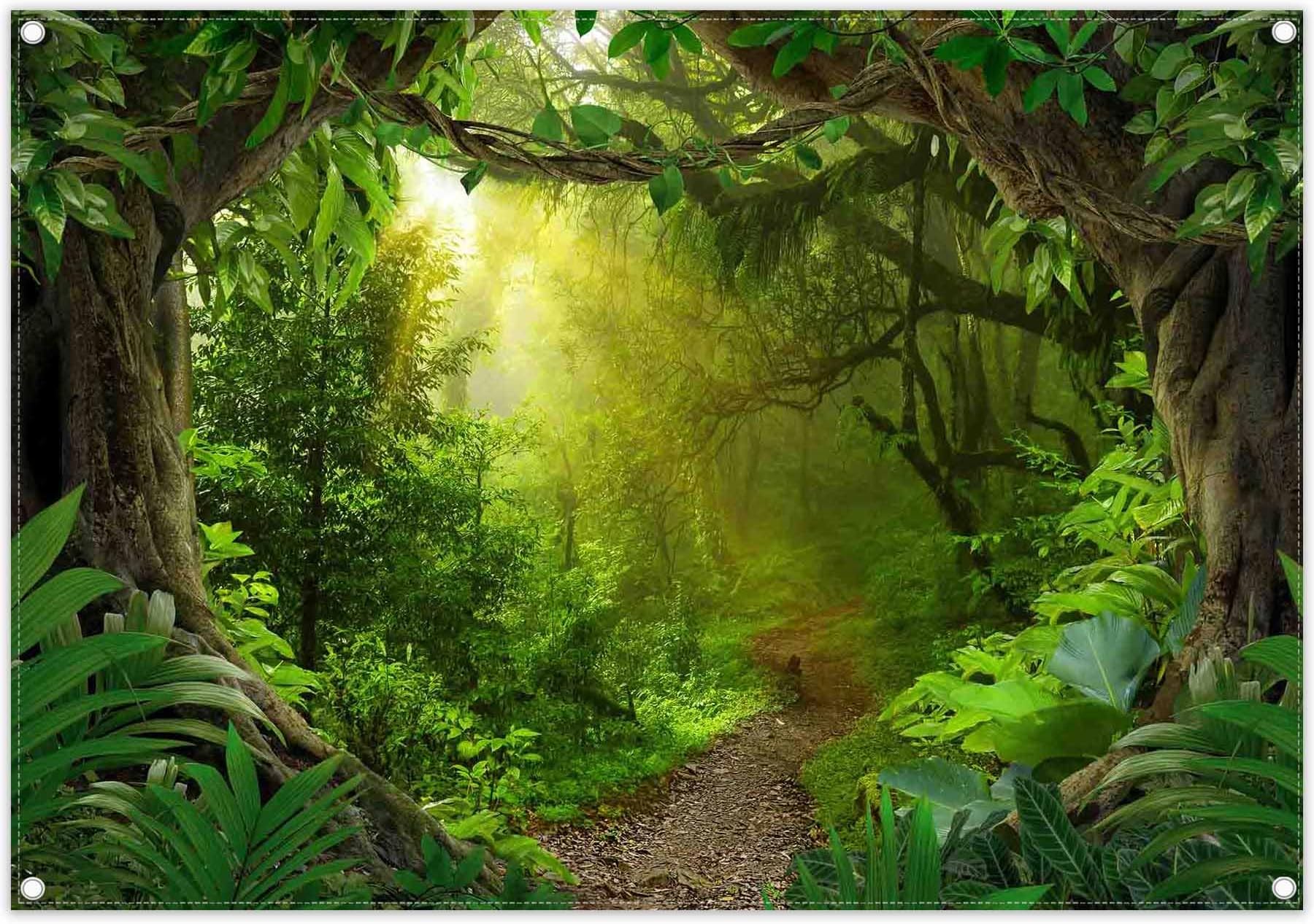 Amazon.com : YongFoto 20x12ft Jungle Forest Trees Backdrops for ...