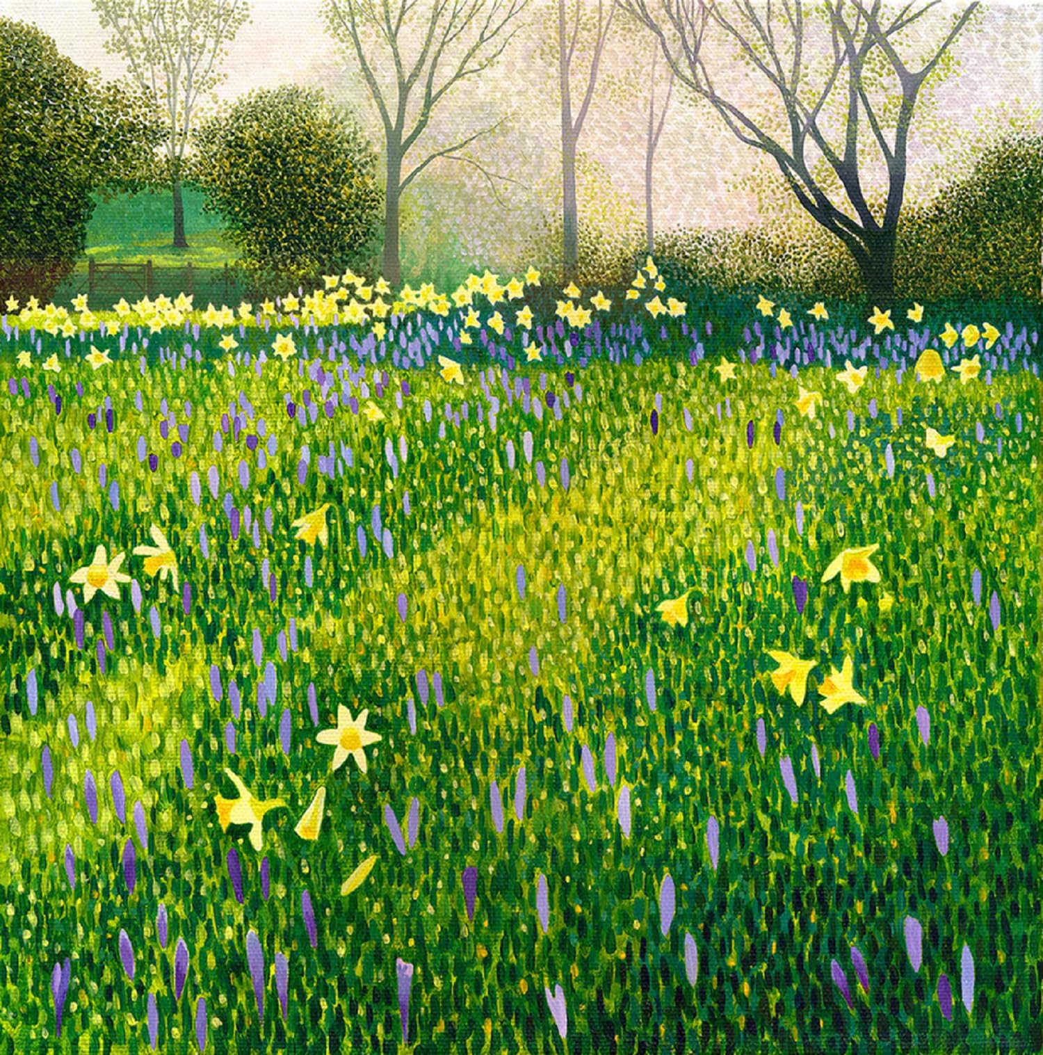 Susan Entwistle Art Crocus & Daffodils card : Amazon.co.uk: Home & Kitchen