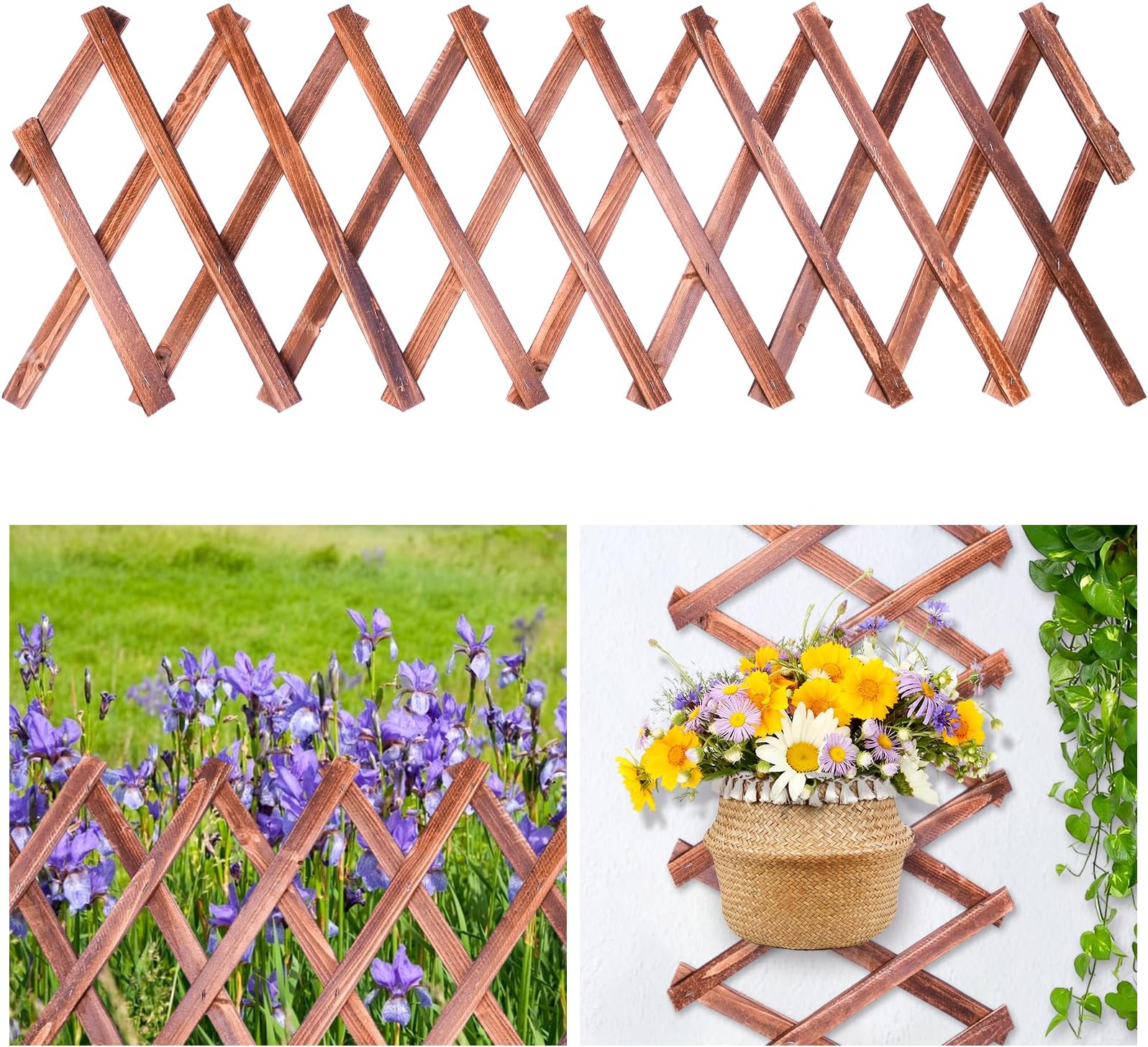 Amazon.com: Iceyyyy Wood Lattice Wall Planter - Expandable Hanging ...