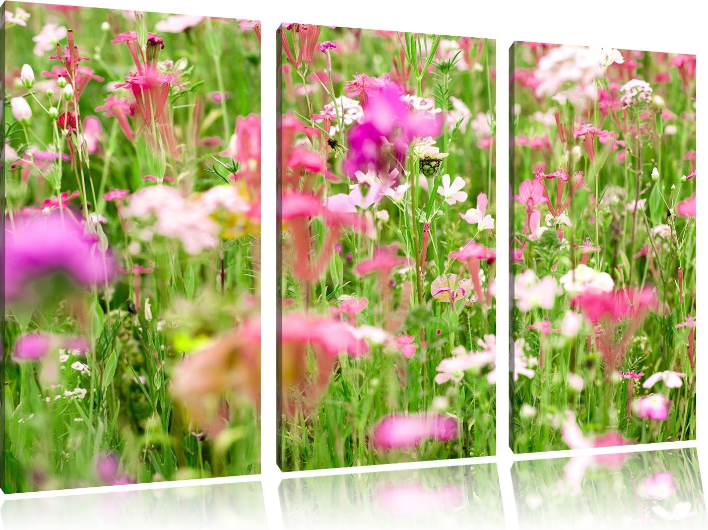 Pixxprint Wonderful Flower Meadow 3 piece Canvas Picture 120x80 Image Pixxprint Wonderful Flower Meadow 3 piece Canvas Picture 120x80 Image