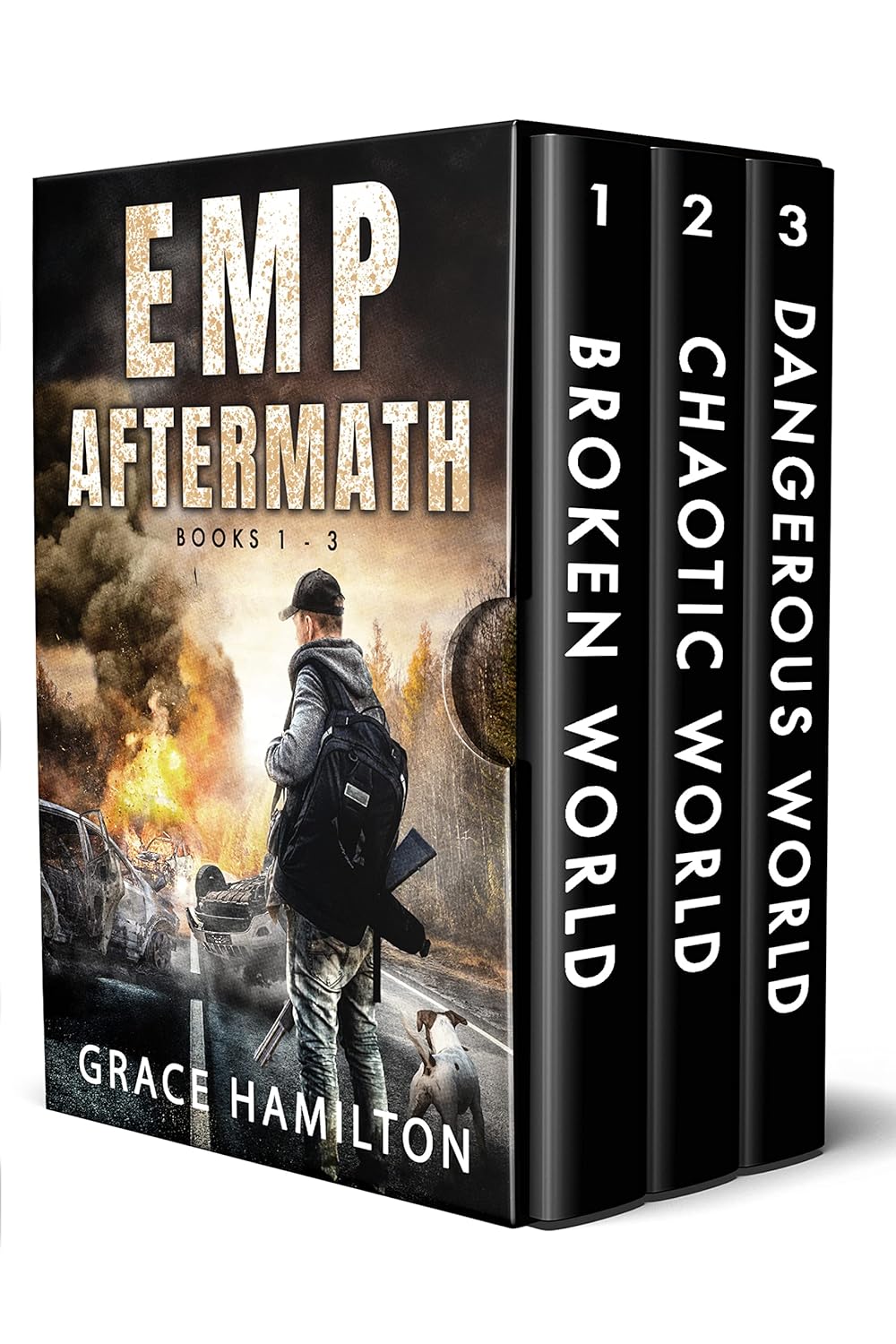 Amazon.com: EMP Aftermath: A Post-Apocalyptic EMP Books 1 -3 Boxset Filled With Fascinating ...