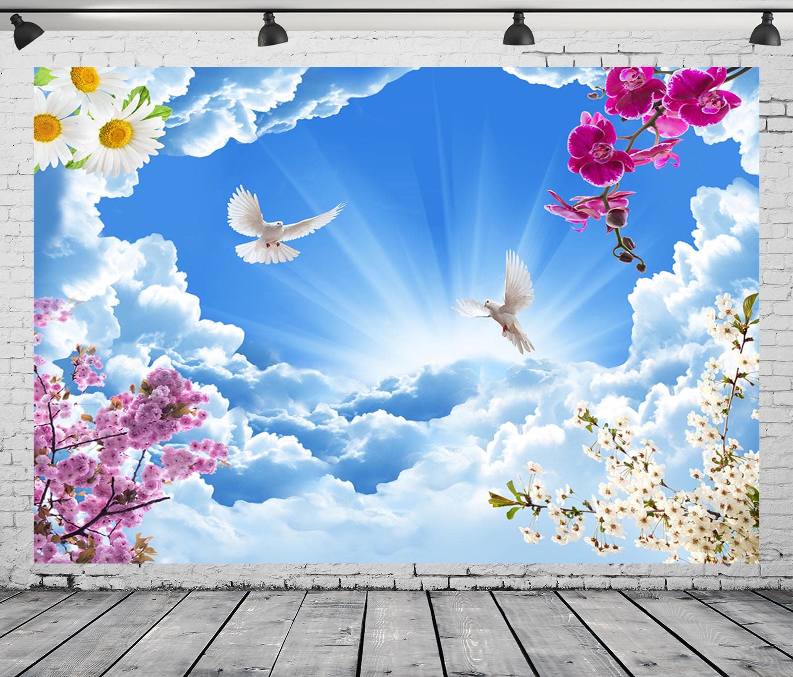 Fondos De Palomas 10053 Untitled