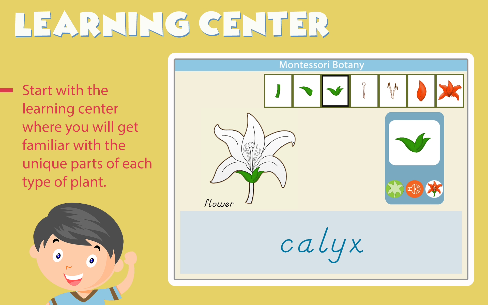 Montessori Botany - Parts of Plants - App on Amazon Appstore