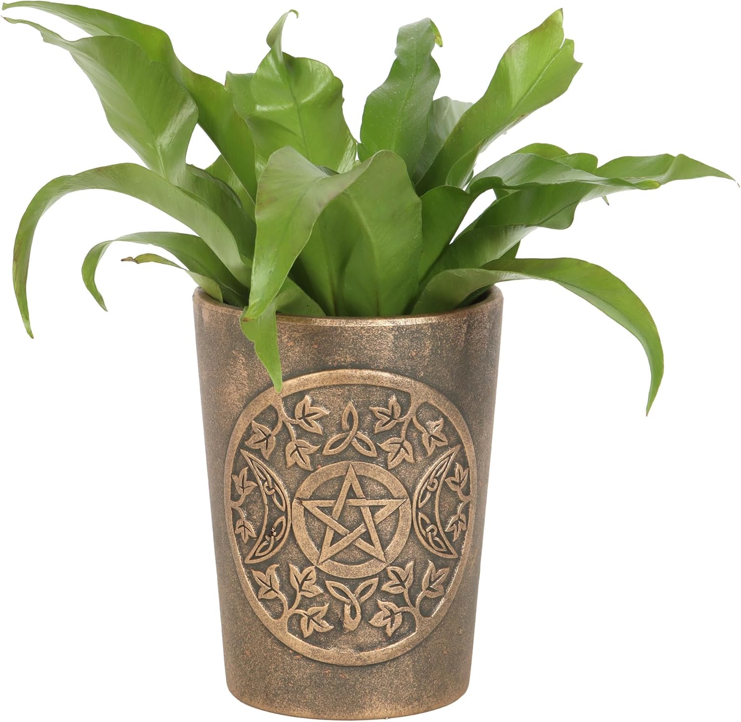 Amazon.com: LisaParker Triple Moon Bronze Terracotta Plant Pot ...