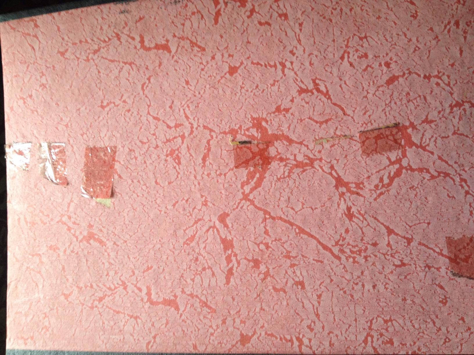 National Marble Index File ( 2 Pcs Pack ) : Amazon.in: Office Products