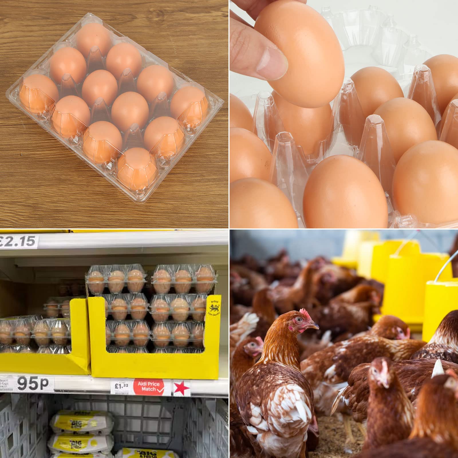 Snapklik.com : Plastic Egg Cartons Bulk, 40 Packs Empty Clear Plastic ...