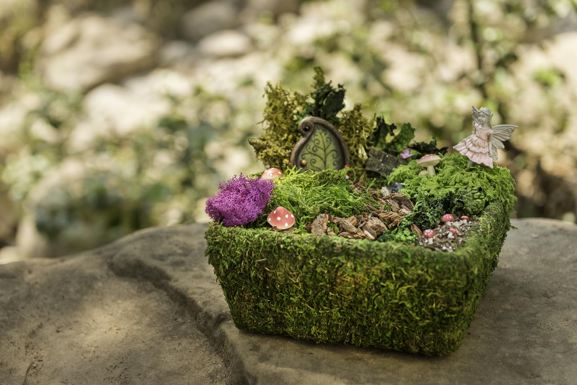 Miniature Moss Garden Ideas