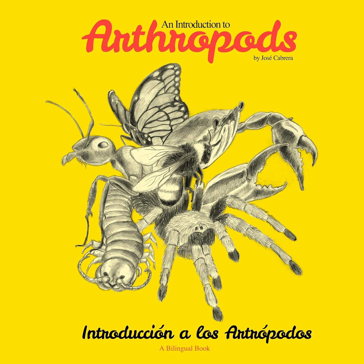 Amazon.com: An Introduction to Arthropods (Bilingual Books Book 2 ...