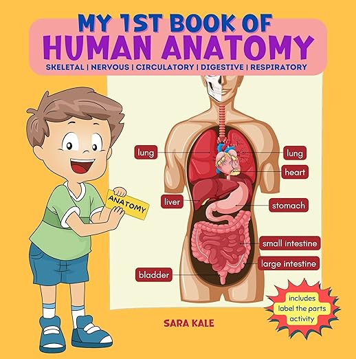 Amazon | My 1st Book of Human Anatomy : Discovering the Human Body ...
