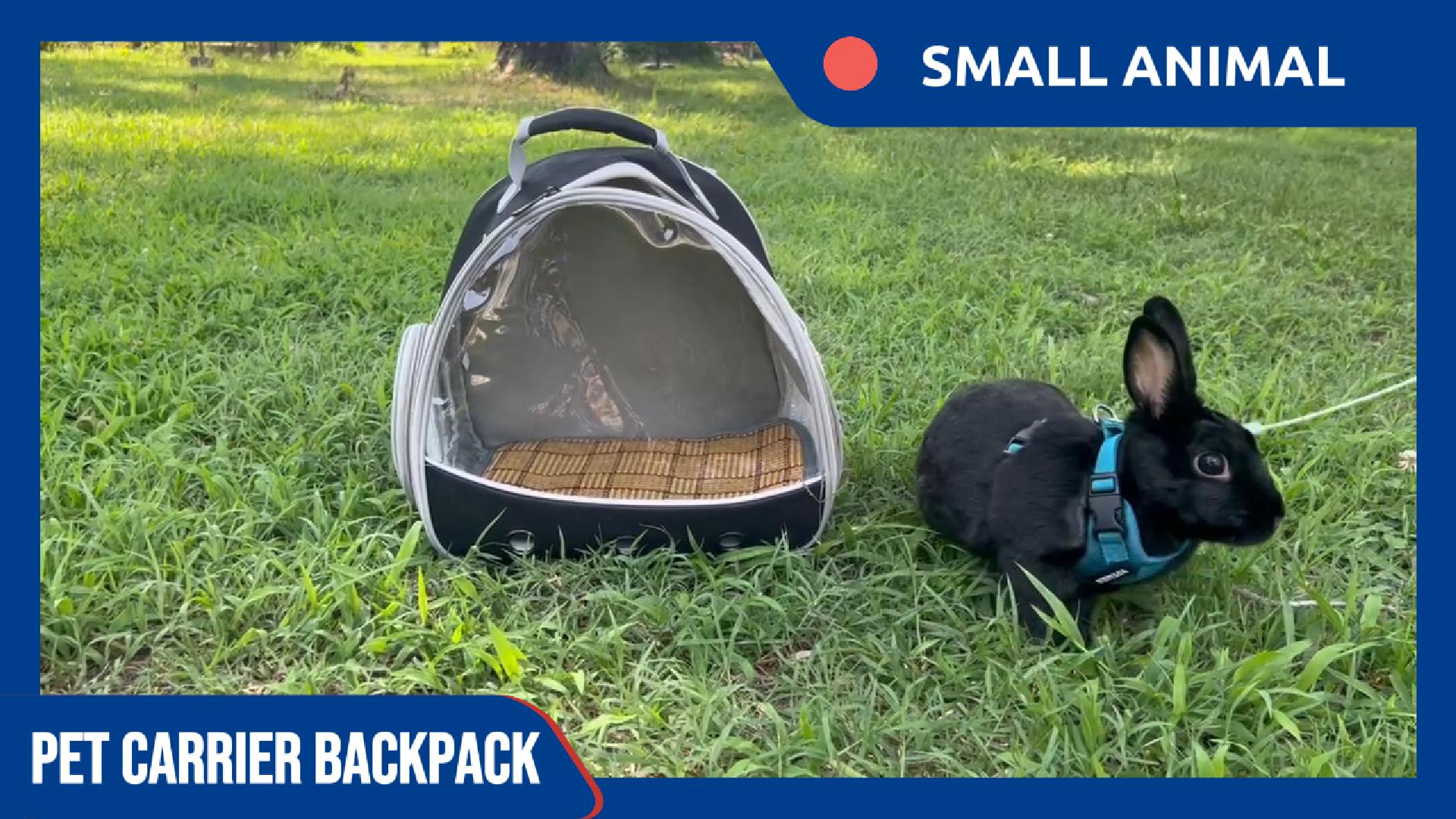 Watch Compact pet carrier for small pets, good ventilation and padded ...