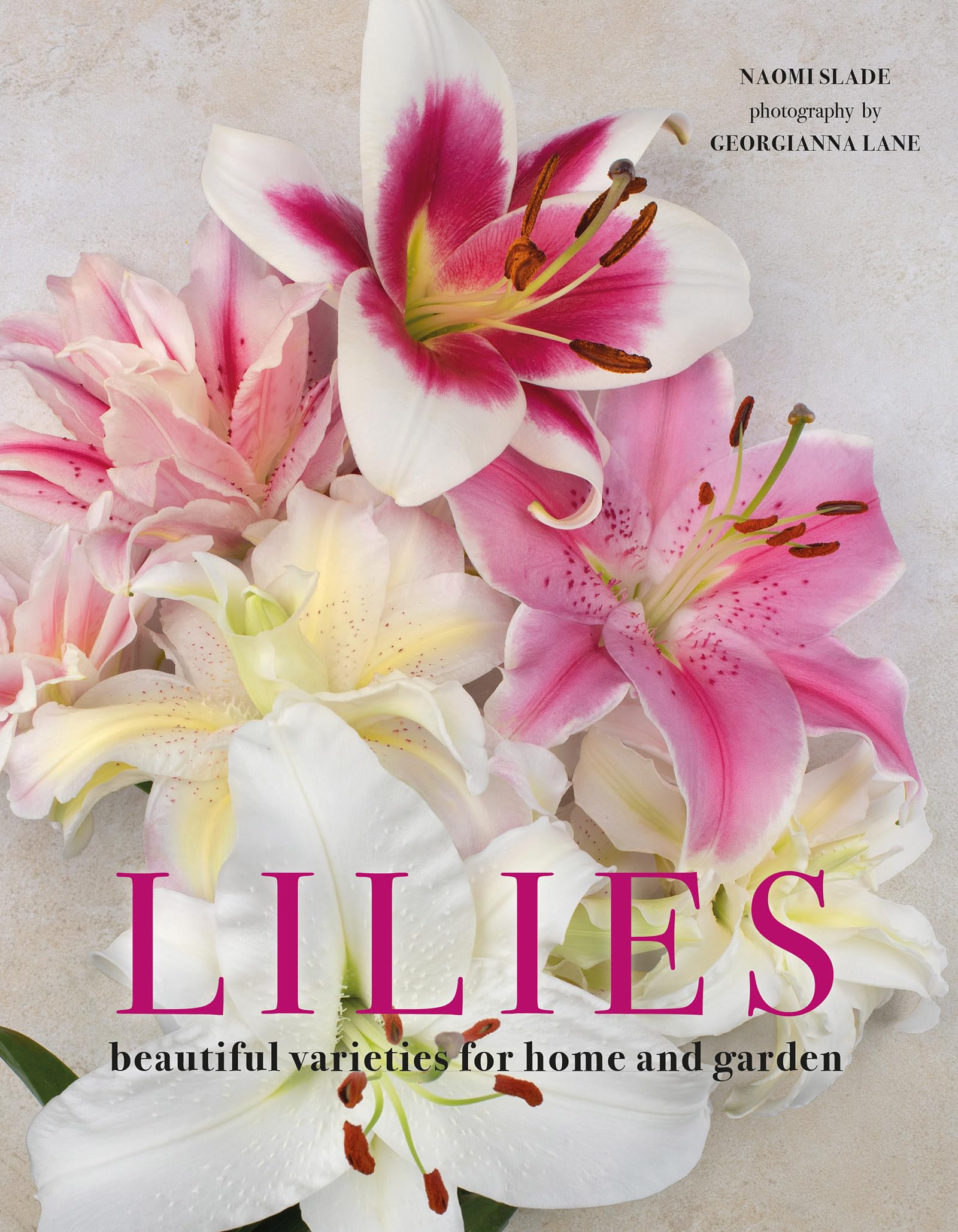 Lilies: Beautiful Varieties for Home and Garden: Slade, Naomi, Lane ...