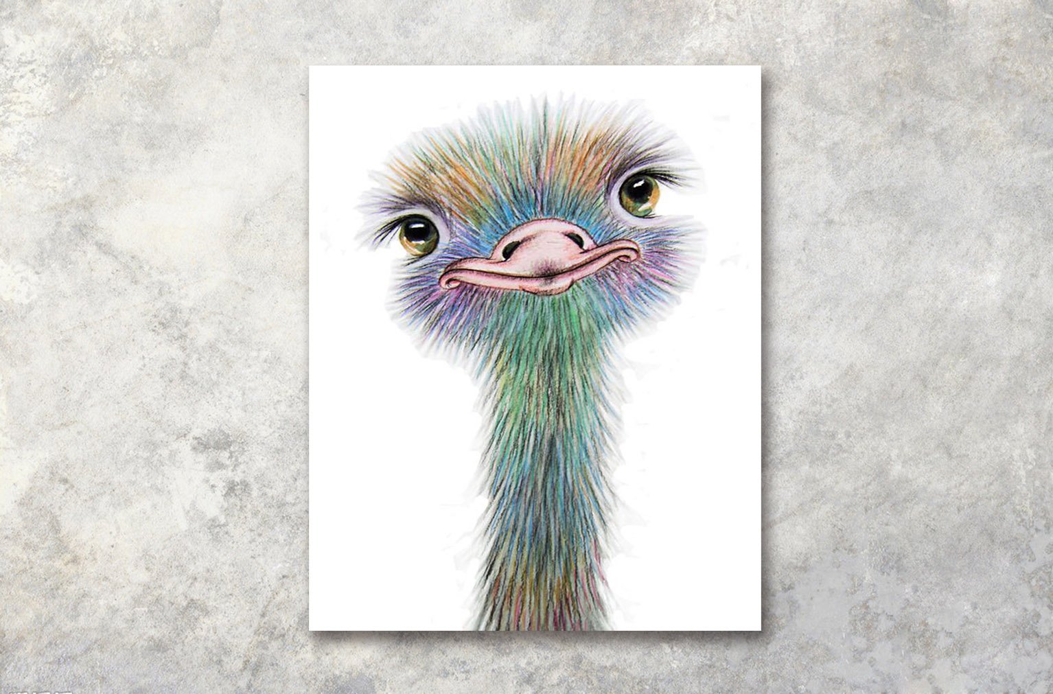 HVEST Ostrich Canvas Wall Art Watercolor Cute Animal Artwork Bird Paintings