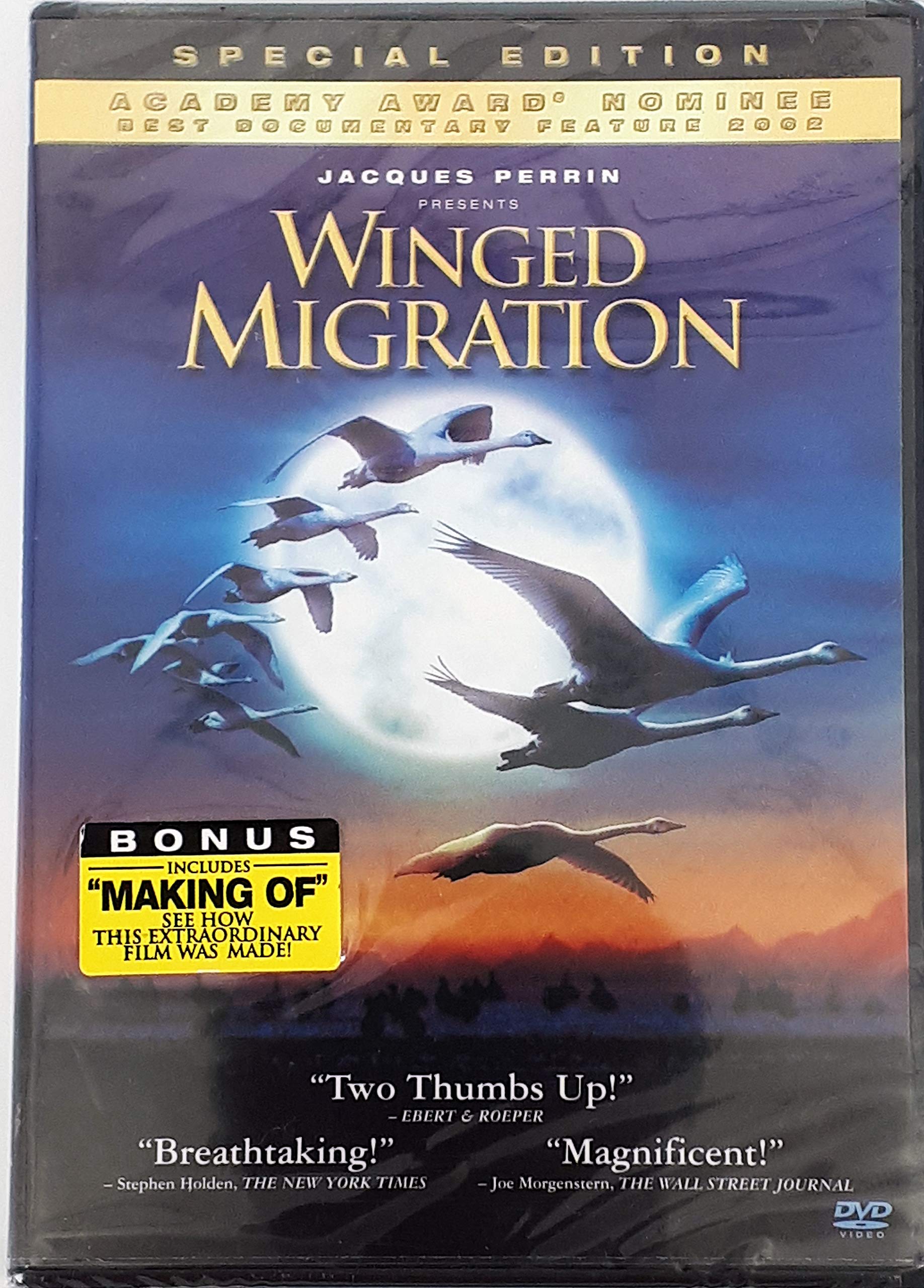 Winged Migration Quotes 15 Pelican Quotes Taking Flight With Wisdom
