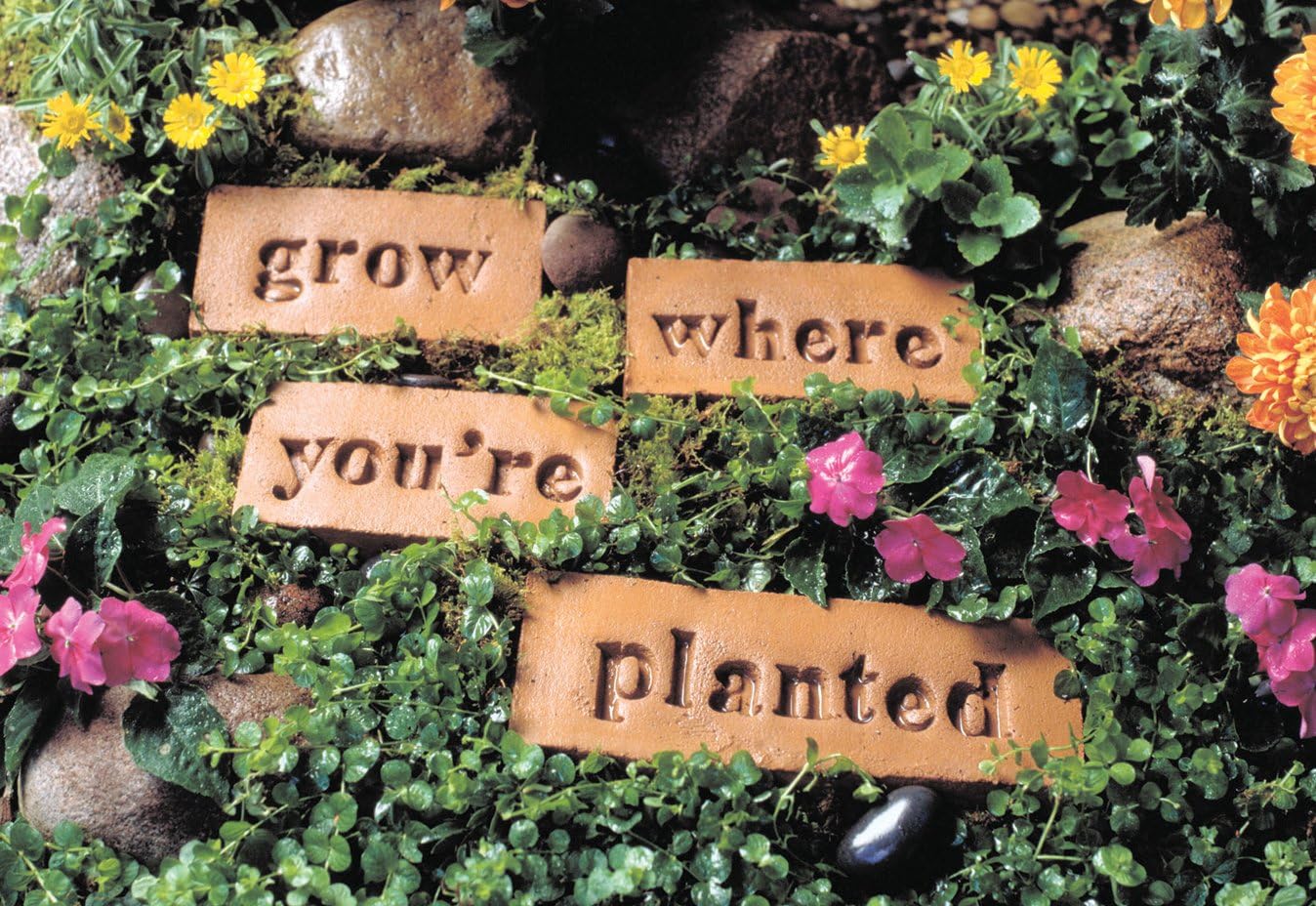 Amazon.com: Magnetic Poetry Make Your Own Word Stones Kit : Tools ...