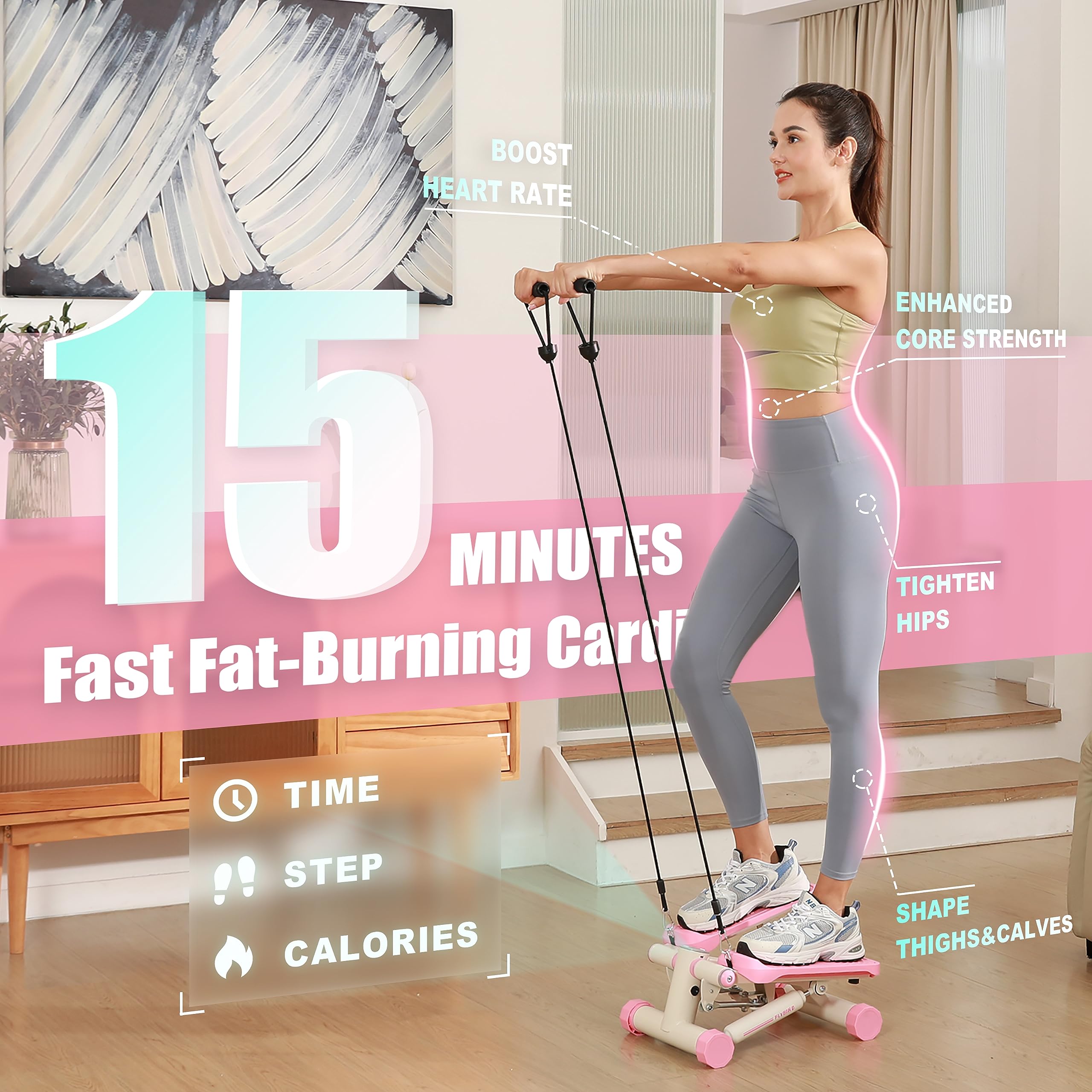 Mini Stepper FLYBIRD Twist Stepper With Handlebar - Home Cardio Machine ...