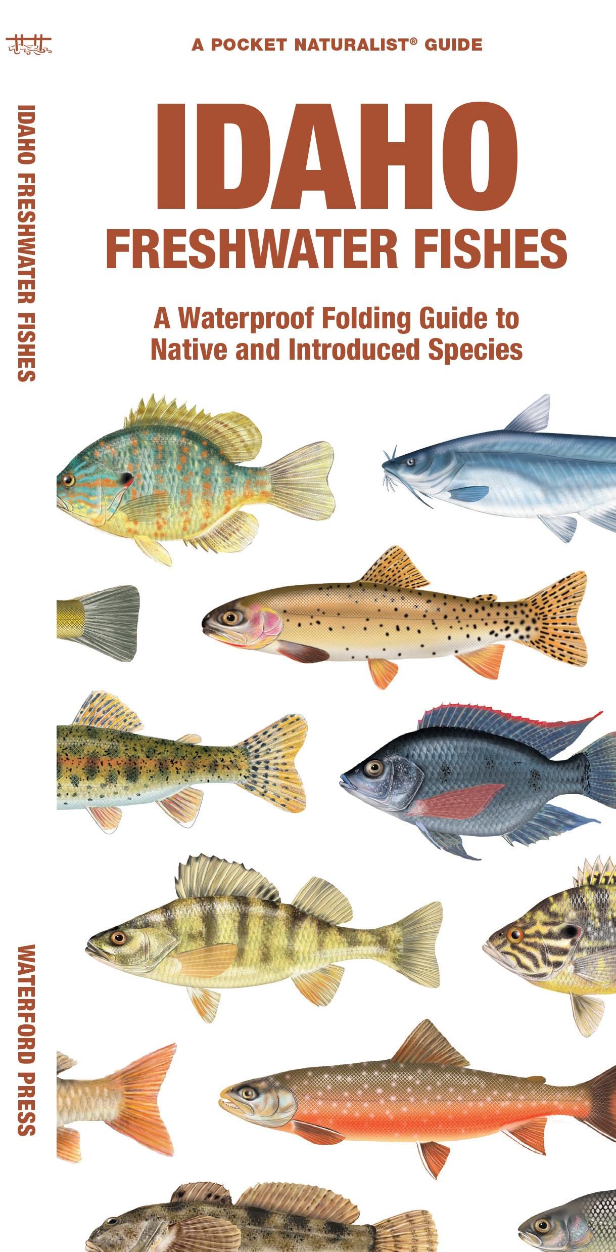 Idaho Freshwater Fishes: A Folding Guide to Native and Introduced ...