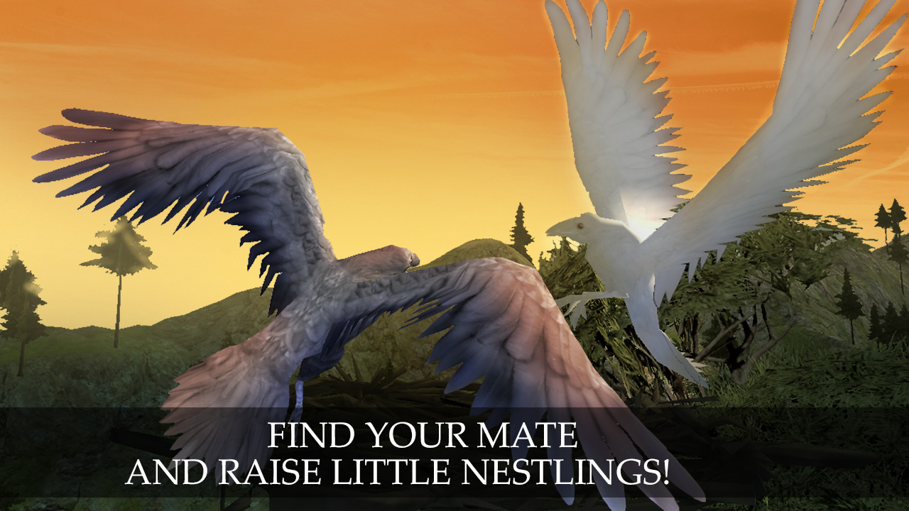 Wild Life: Flying Raven Simulator - App on Amazon Appstore