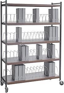 Amazon.com: Omnimed Multi-Tier Mobile Chart Rack with Binders, Steel ...