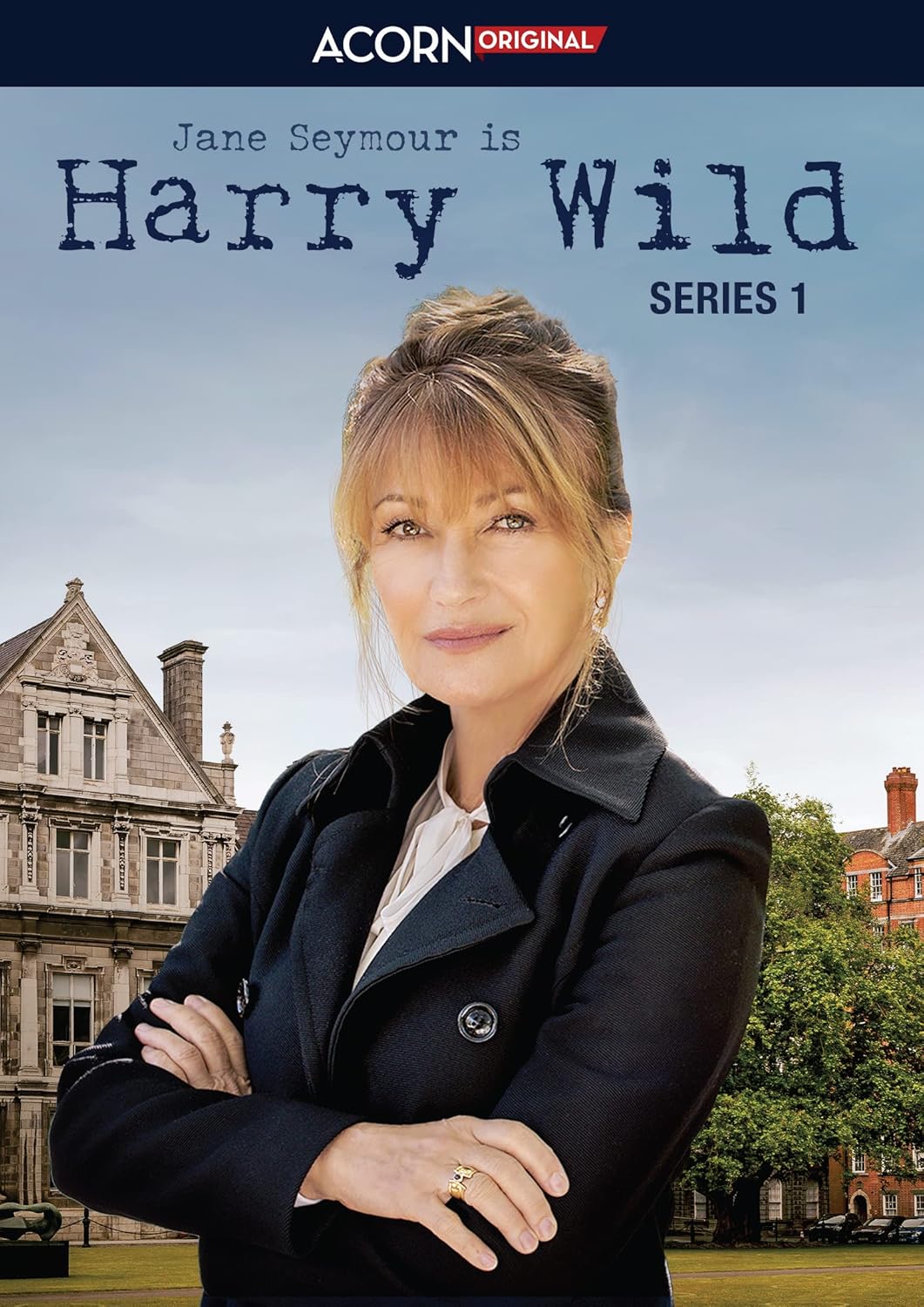 Amazon.com: Harry Wild: Series 1 : Ronan Burke|Rob Burke: Movies & TV