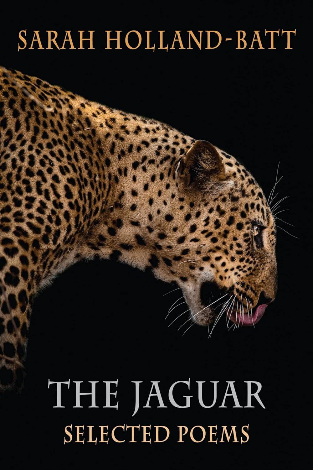 The Jaguar: Selected Poems: Holland-Batt, Sarah: 9781780377049: Amazon ...