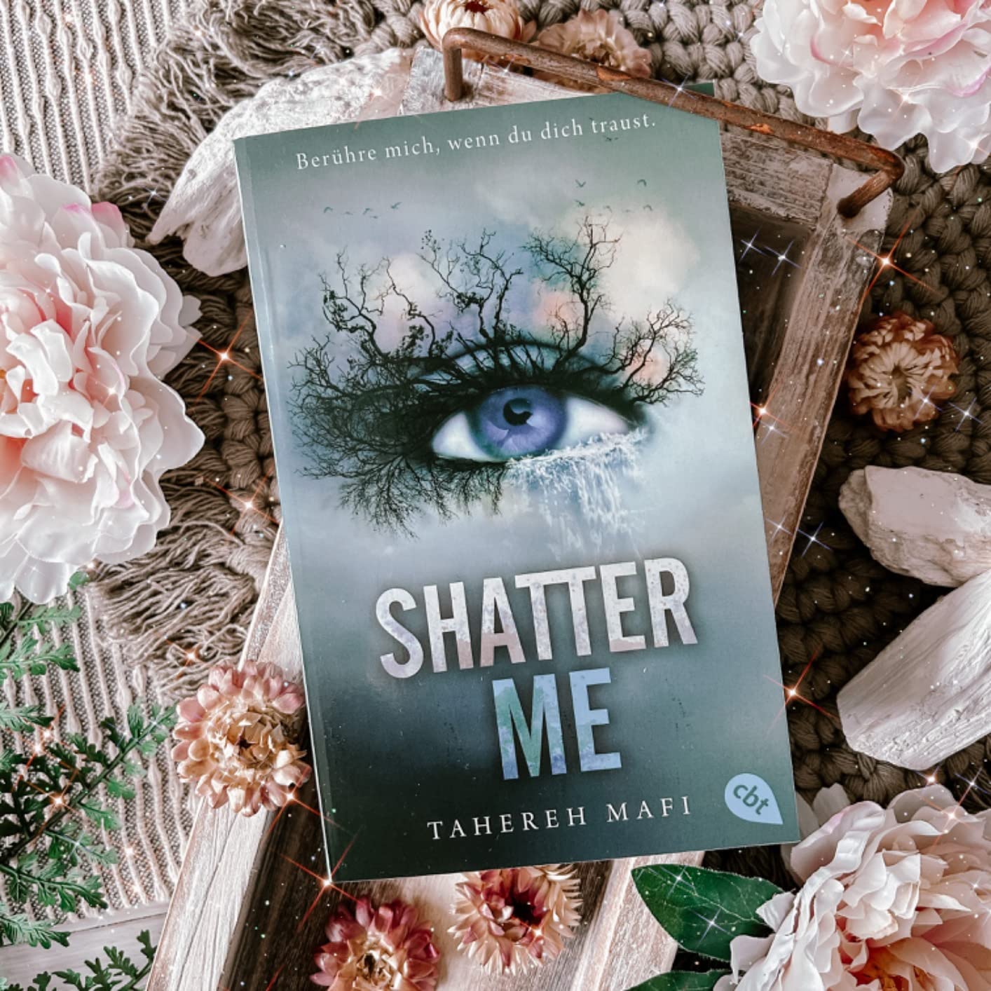 Shatter Me: Der Auftakt der mitreißenden Romantasy-Reihe. TikTok made me buy it. (Die "Shatter ...
