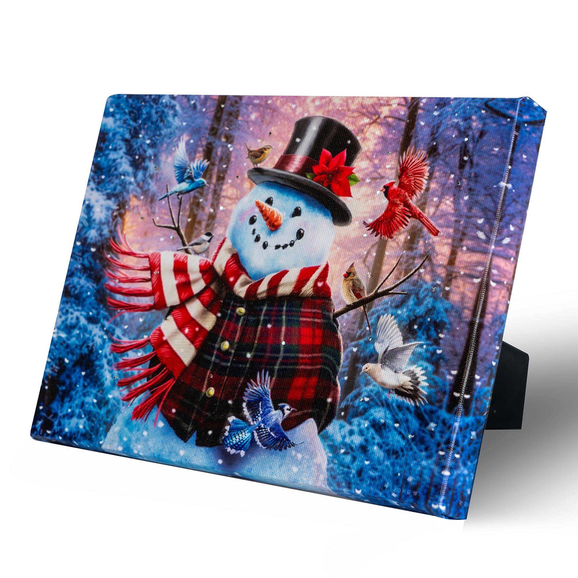 Amazon.com: DEMAGNNIE LED Lighted Canvas Christmas pictures with Timer ...