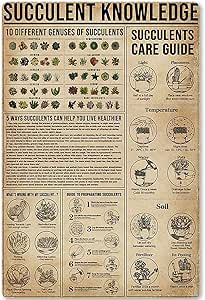 Amazon.com : Metal Tin Sign Succulent Knowledge Spreading Succulent ...