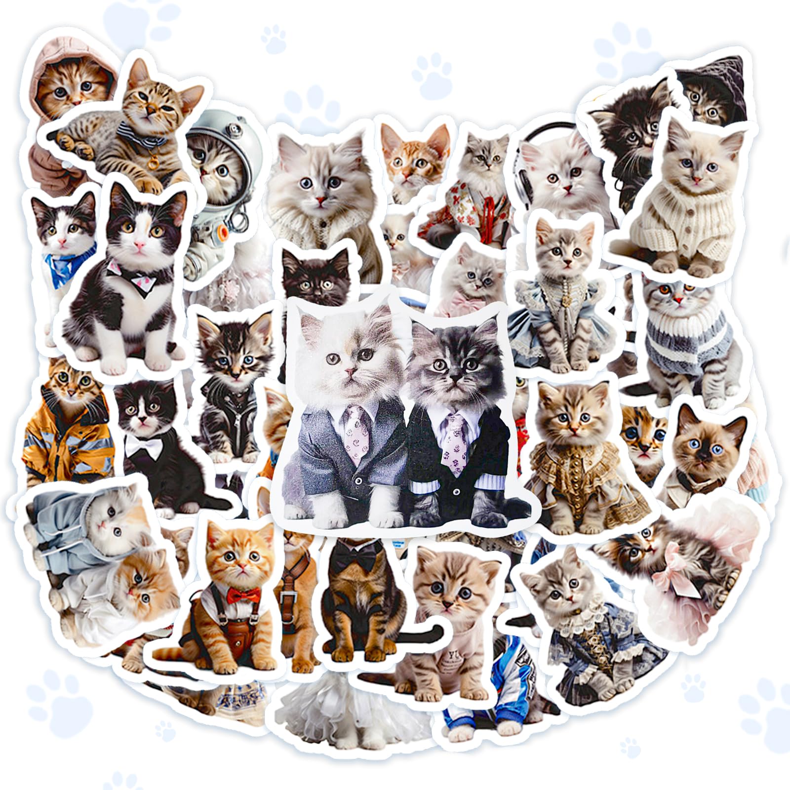 Amazon.com: 100 Pcs Funny Cat Meme Stickers| Waterproof Vinyl ...