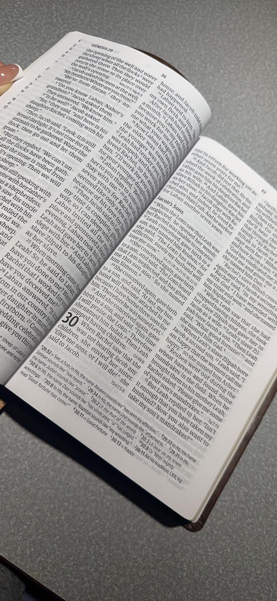 Amazon.com: CSB Large Print Personal Size Reference Bible, Brown Celtic ...