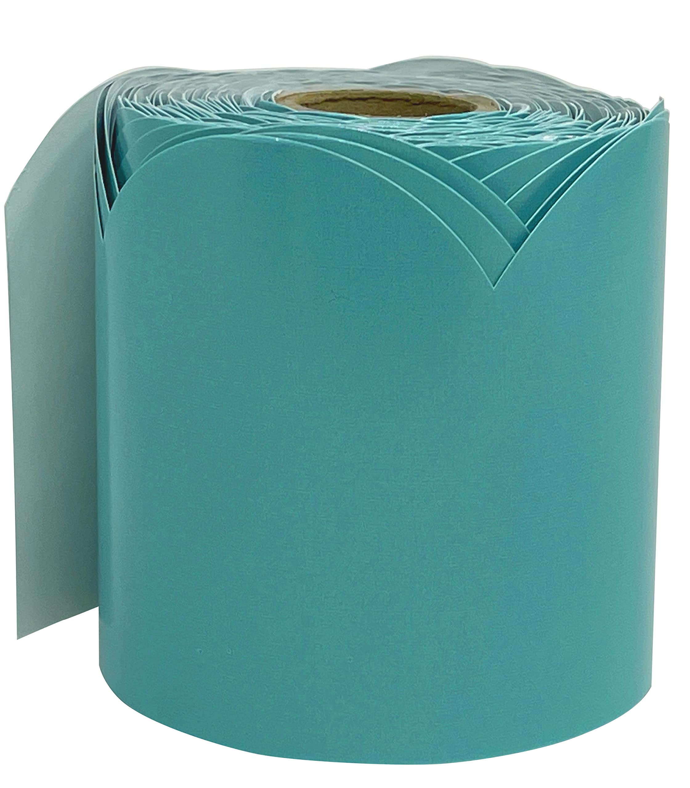 Snapklik.com : Carson Dellosa We Belong 65 Ft Scalloped Teal Bulletin ...