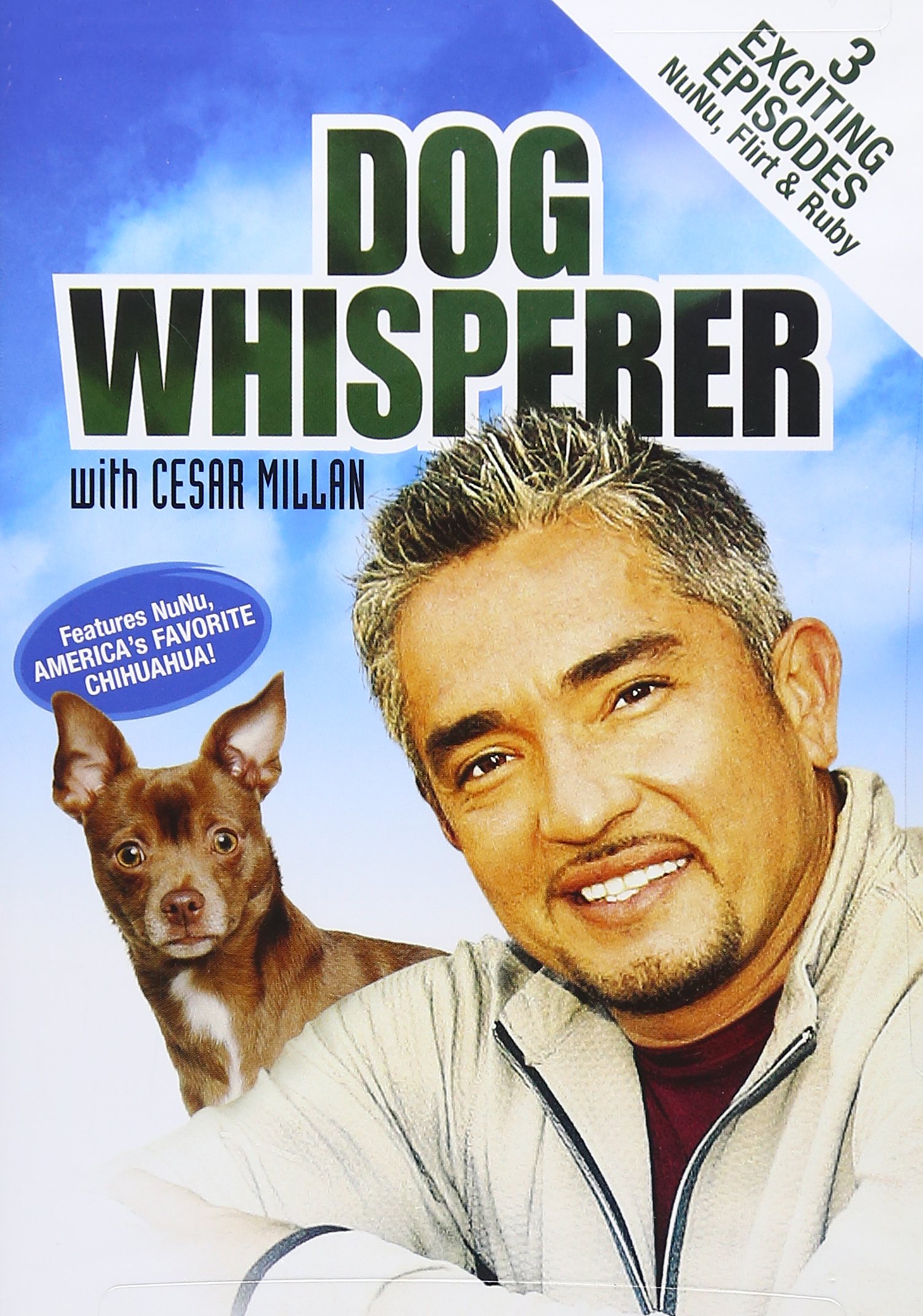 Amazon.com: Dog Whisperer with Cesar Millan - Volume 1 : Cesar Millan ...