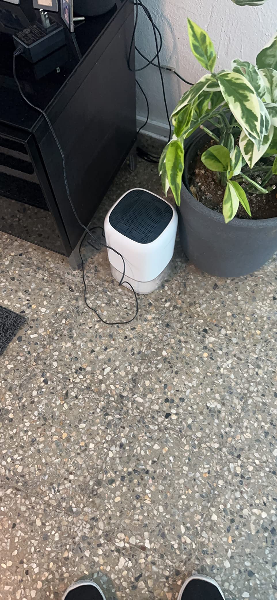 El mundo o el tratado de la luz (Spanish Edition): Descartes, René ...