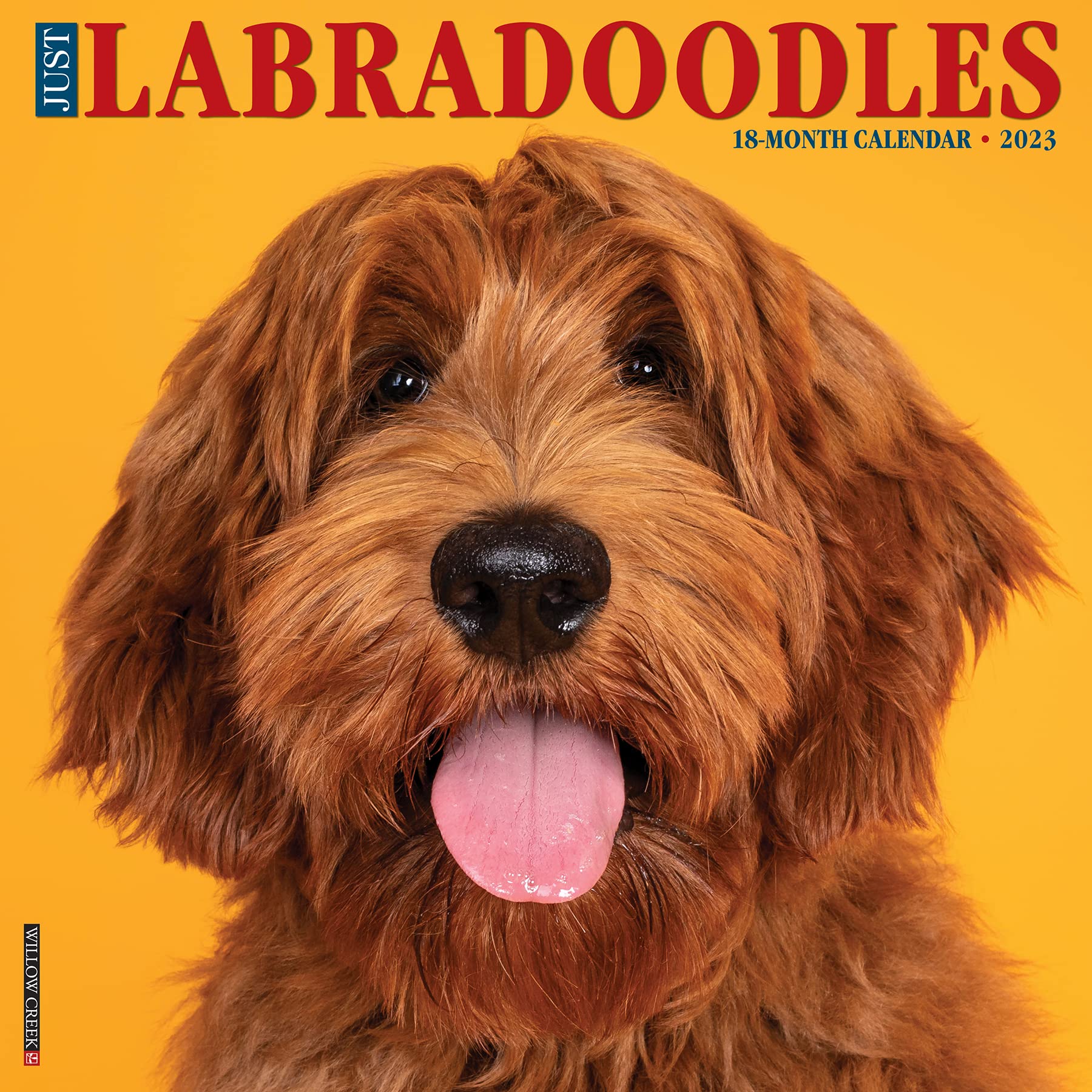 Amazon.com: Just Labradoodles 2023 Wall Calendar: 9781549226595: Willow ...