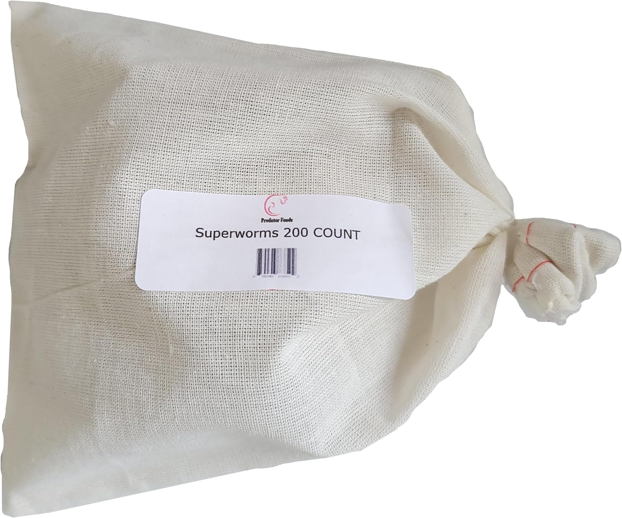 Amazon.com: 200 - Live- Animal Specialties Brand- Superworms ...