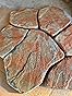 Amazon.com: Betonex 6 pcs Flagstone Molds ABS 2mm Cement Mold - Paver ...